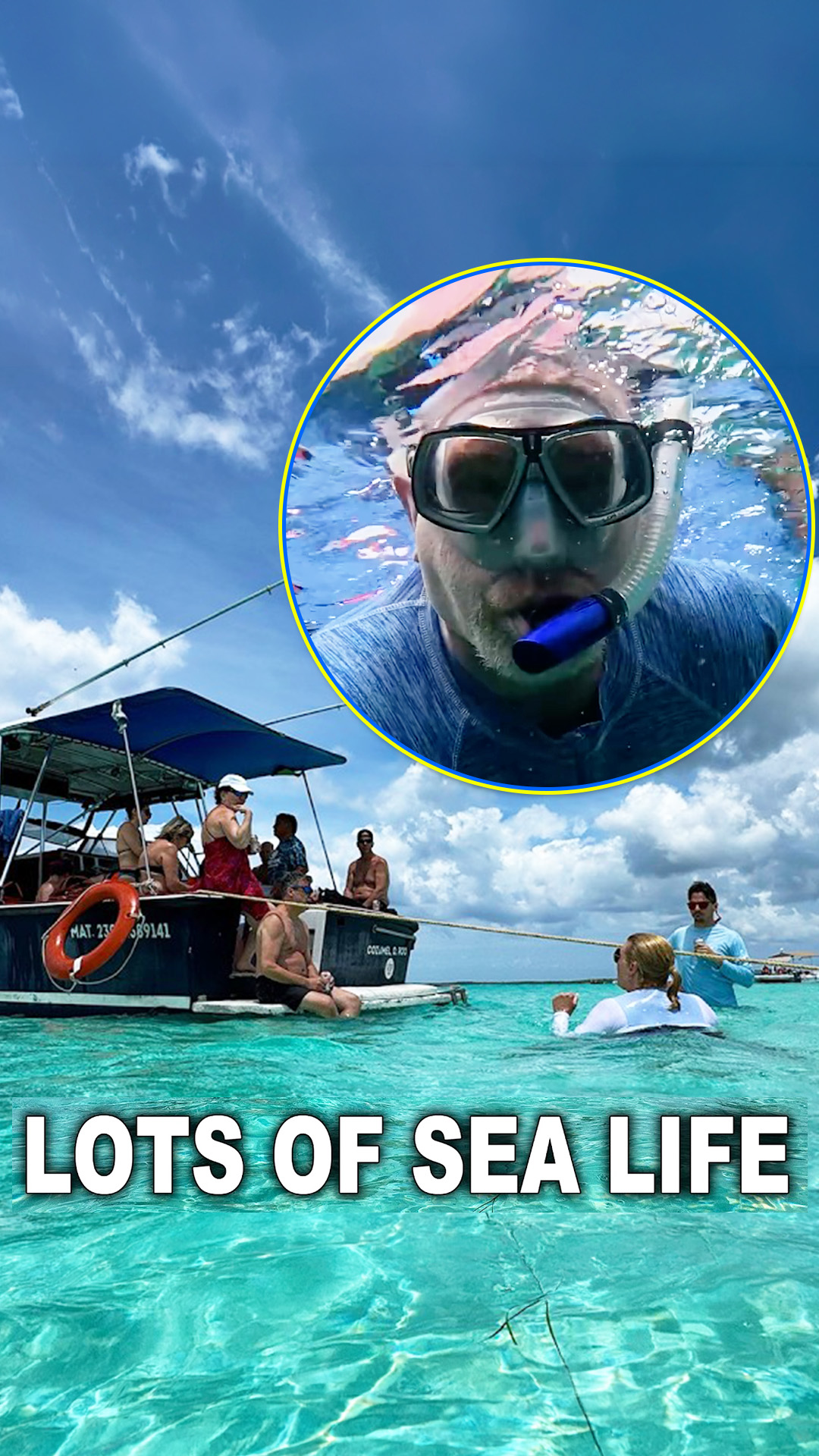 Cozumel snorkel cruise and sea life