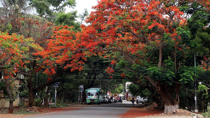 Every tree in UP's Sarvodaya schools, hostels to get digital identity