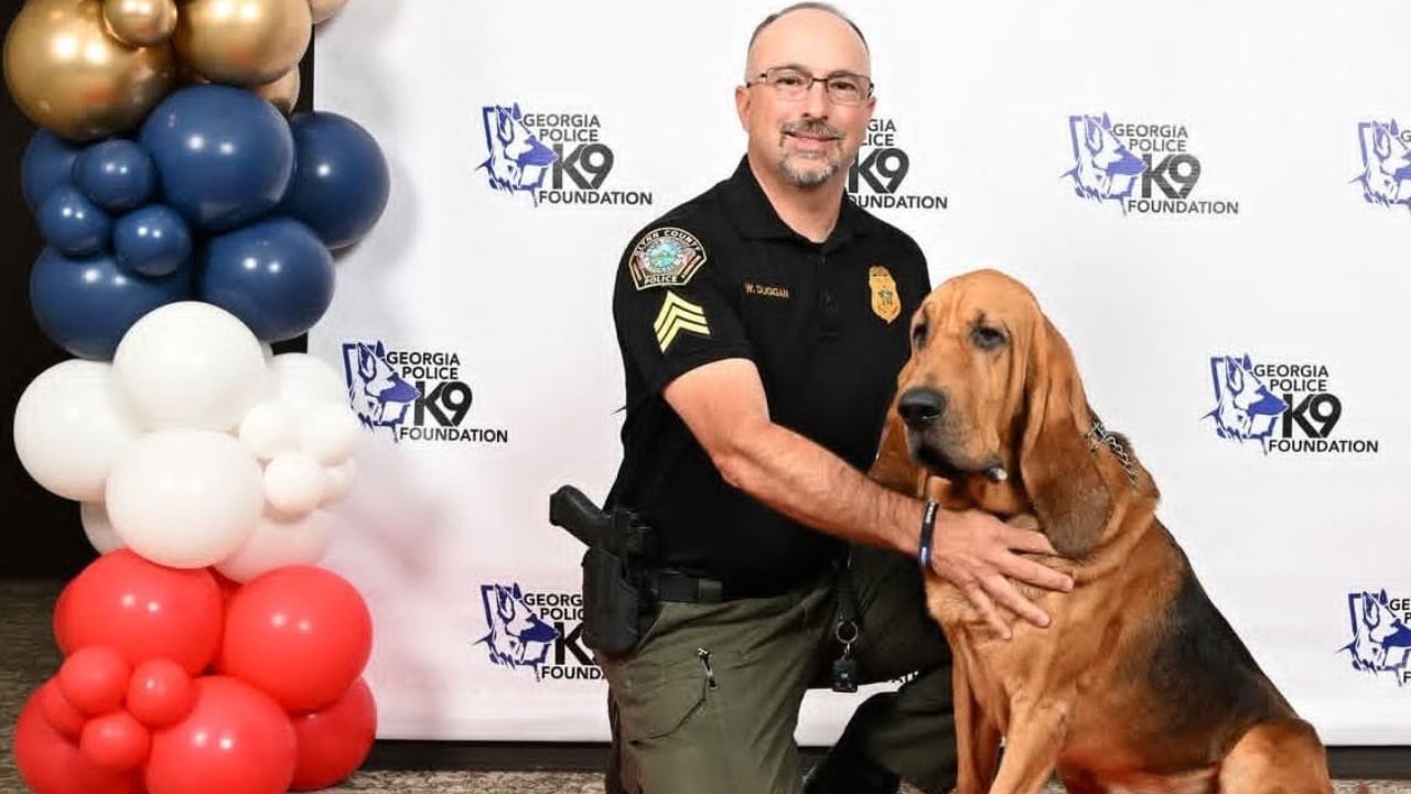 More than a police dog: Glynn County Police Department mourns loss of K ...