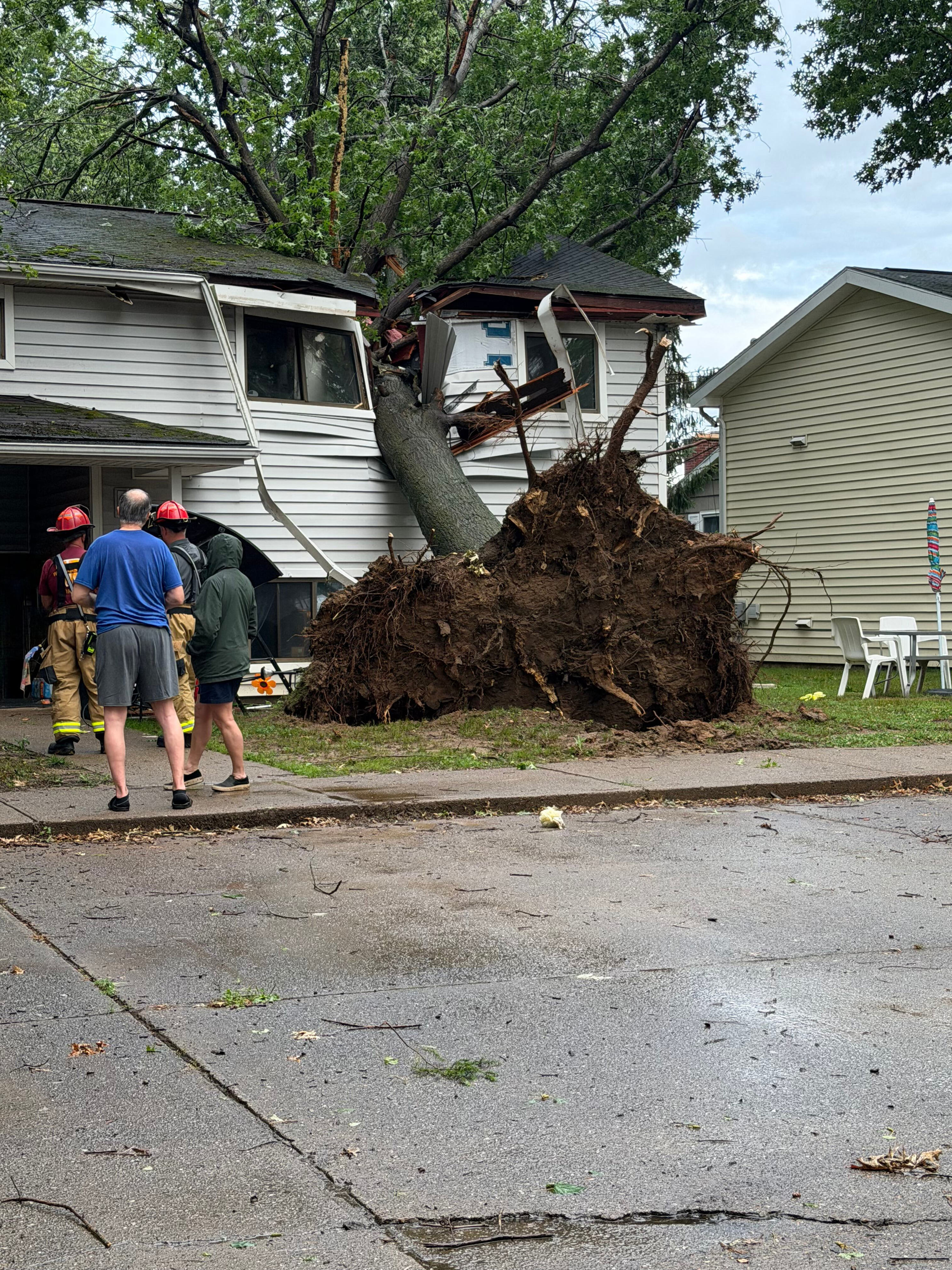 Multiple trees down in Wood County following Sunday’s storms