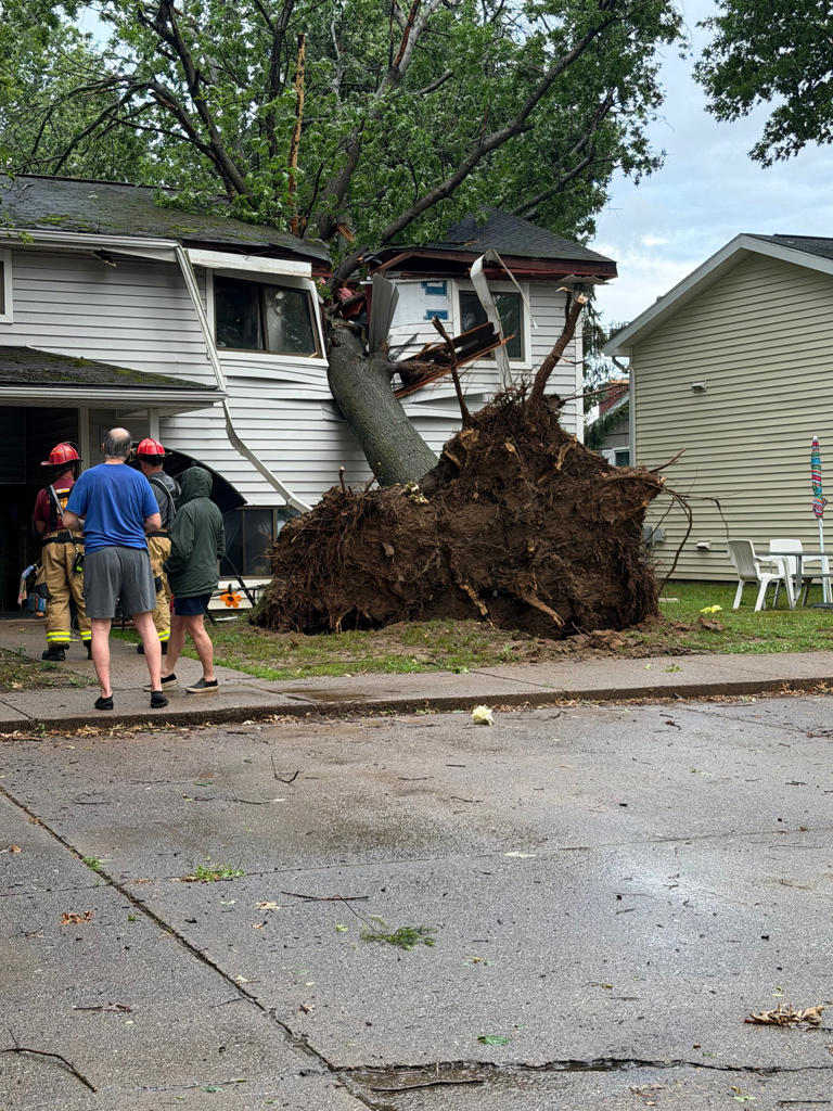 Multiple trees down in Wood County following Sunday’s storms