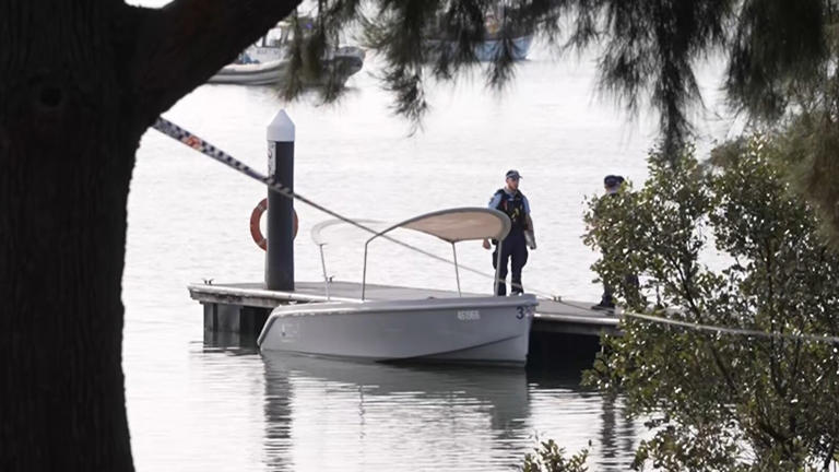 Police treating deaths of man and girl found dead in bay at Concord as ...