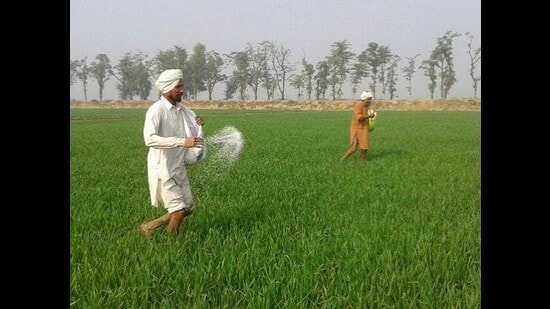 No urea shortage in Punjab, says Agriculture Department