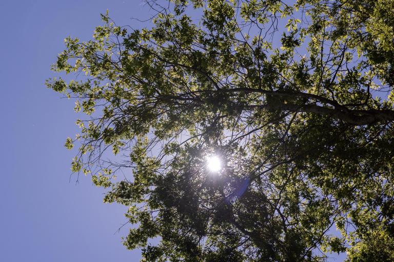 Portland breaks record with 2026’s first heat wave
