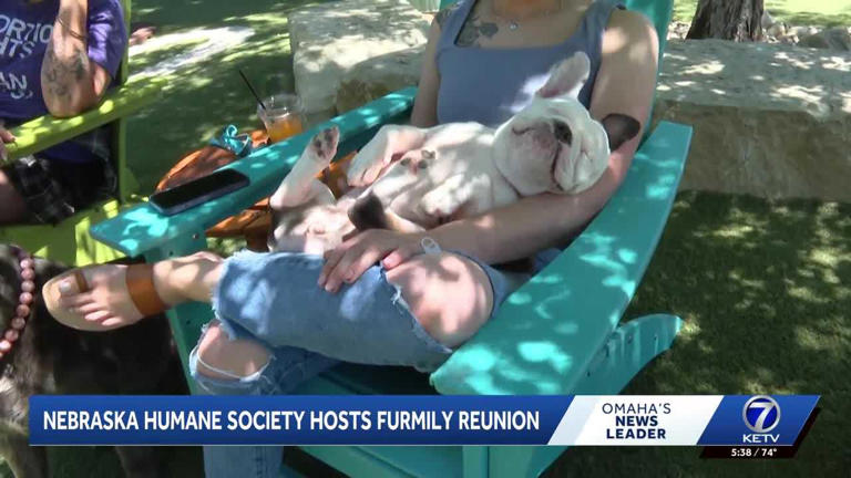 The Nebraska Humane Society holds a 'furmily' reunion for its former ...