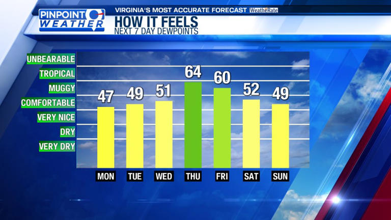 Pinpoint weather: Severe thunderstorm watch issued