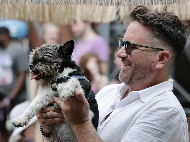 Philadelphia Water Department’s new spokesdog is Gracie Girl, an 8-year ...