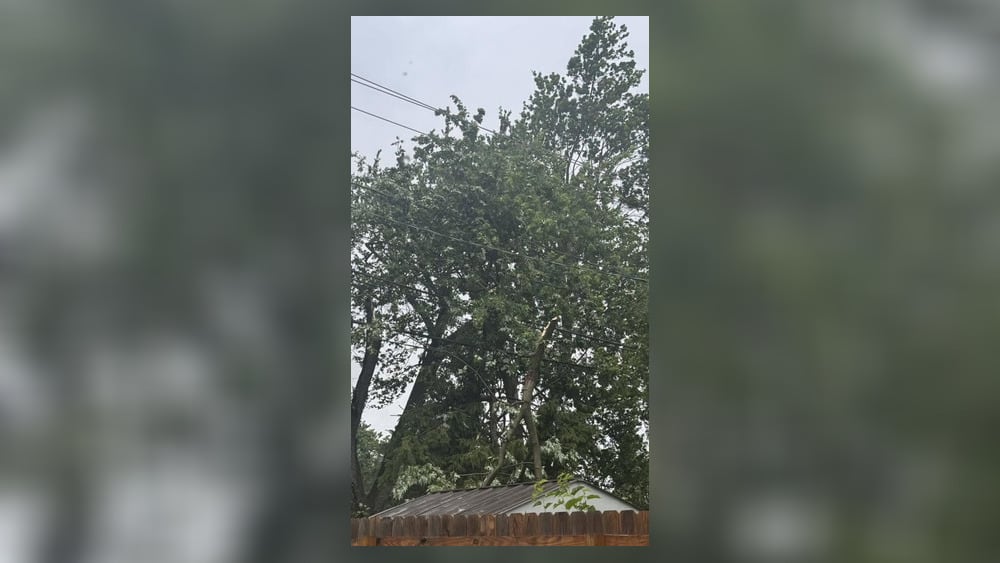 Storms with heavy rain, strong winds move through region