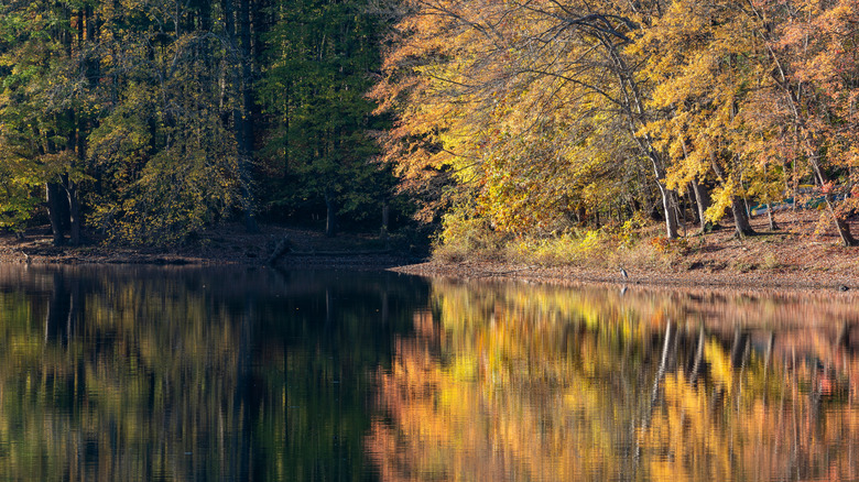Halfway between Baltimore and DC is Maryland's scenic watershed for an ...
