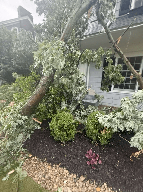 Photos: Sunday storms take down Ferris wheel, trees in NE Ohio