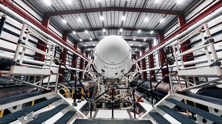 Is SpaceX a true rule breaker stock or just an IPO hype machine?