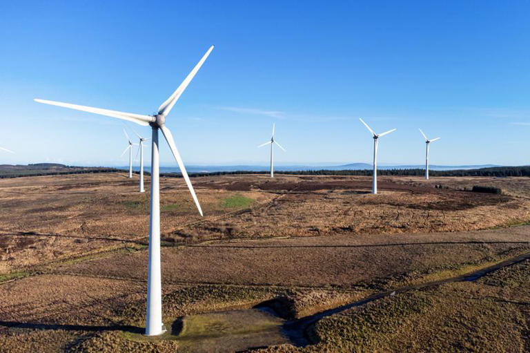 Wind farms deliver €75 million rates boost to county councils