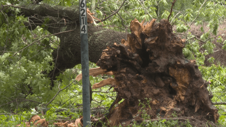 Sherwood Forest Mobile Home Community hit by severe storm