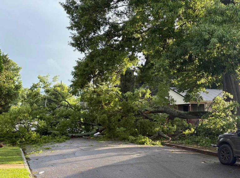 Sunday thunderstorms leave downed trees in Birmingham and Cherokee County