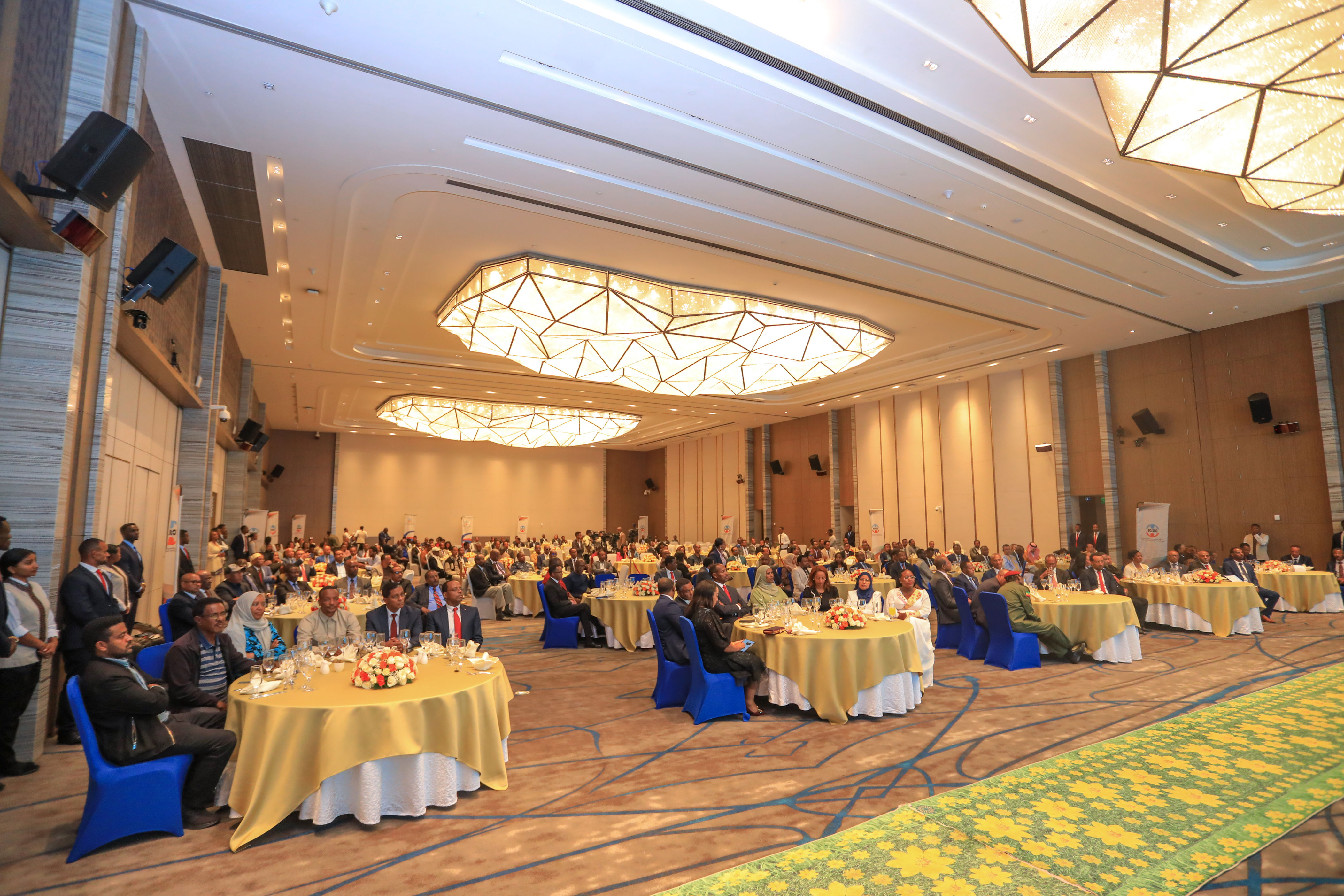 Ethiopia's political reforms scale up civic space, says ECSOC president