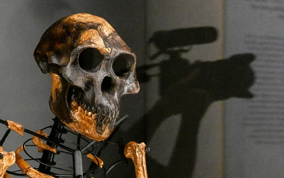 Study challenges 'Human Revolution' with gradual evolution model
