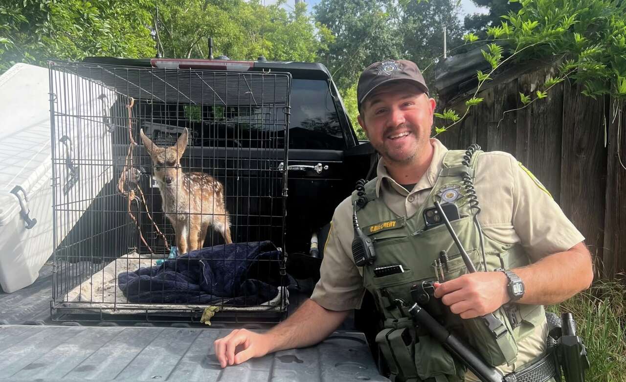 Bay Area resident admits to capturing wild animal, keeping it at home ...