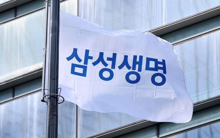 삼성생명, 삼성전자 주가랑 같이 움직인다…목표가↑ -NH證