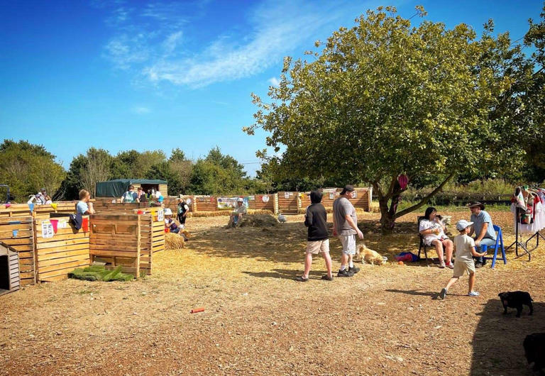 Swale council spends £9k on legal action against Happy Pants Ranch in ...