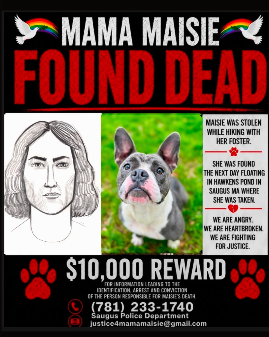 Foster dog stolen during Saugus hike found dead in pond, rescue says