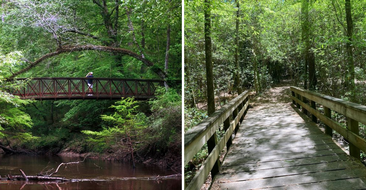 A Texas nature area with boardwalk trails through wetlands and forest