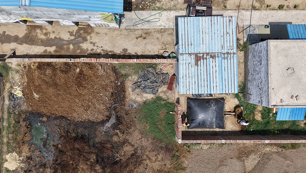 UP to install 1 lakh rural biogas plants for clean energy push