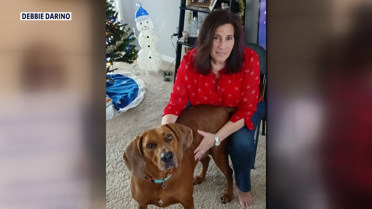 Animal cruelty database: Federal bill mimics Florida law