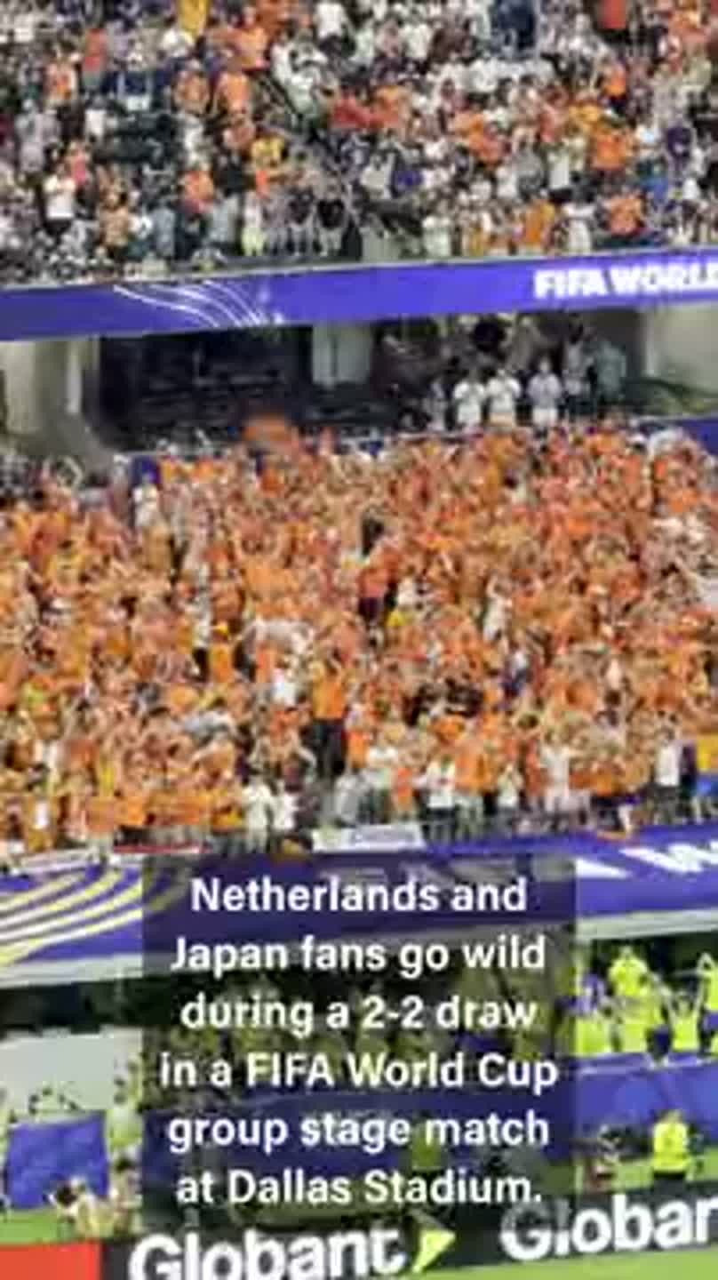 Watch: Japan, Netherlands fans celebrate goals at Dallas Stadium World ...