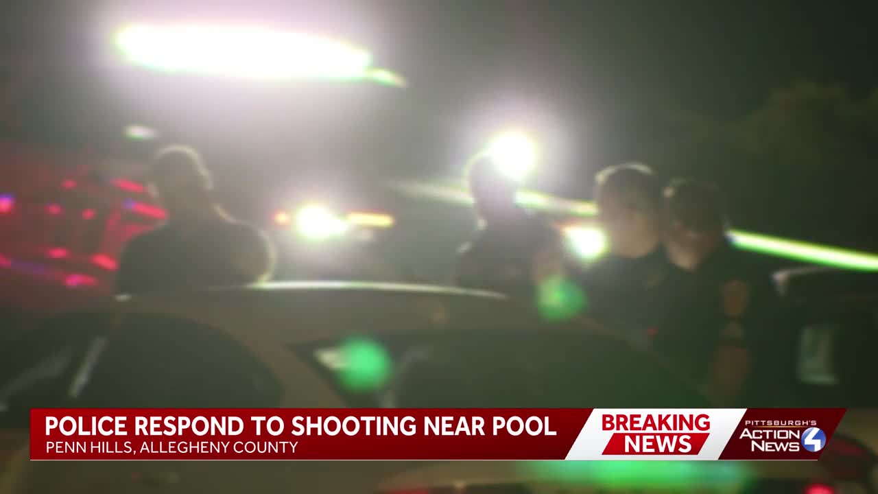 Witnesses say multiple shots rang out at pool party; one person shot