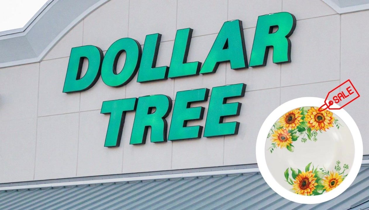 Floral dinnerware at Dollar Tree is on sale!