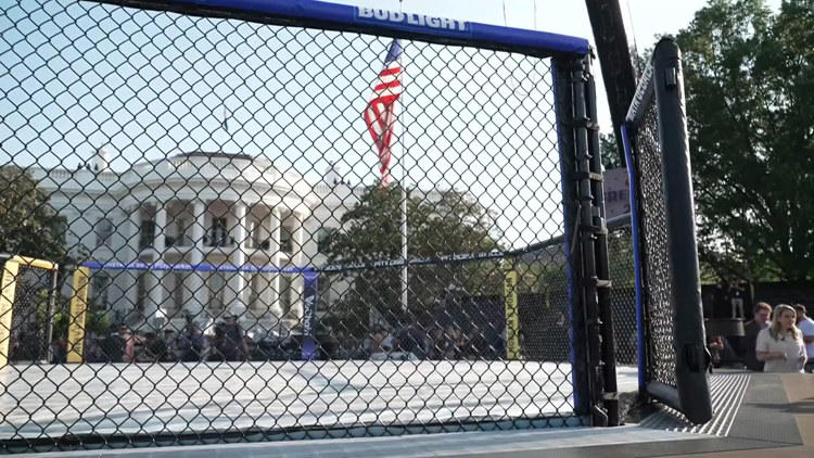 Legal expert explains why judge allowed White House UFC event to ...