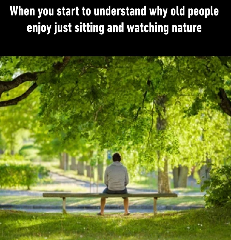 23 nature memes for people who get excited about weird birds, cool ...