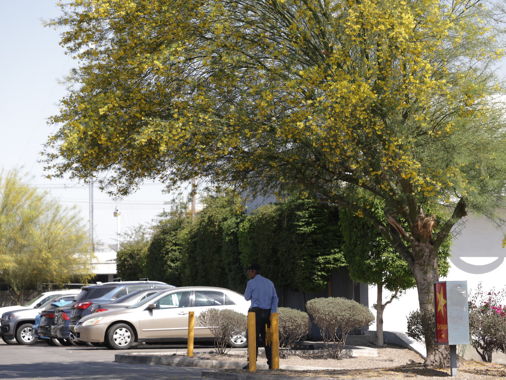 Calor extremo continuará durante la semana en Mexicali; temperaturas ...