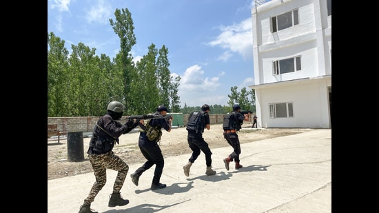 J&K DGP reviews Amarnath Yatra security arrangements