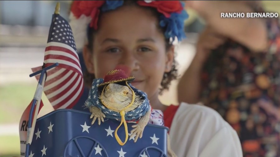 Rancho Bernardo Spirit of the Fourth accepting vendor, vehicle entries