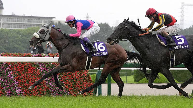Meisho Tabaru repeats in Takarazuka Kinen to earn Breeders' Cup berth