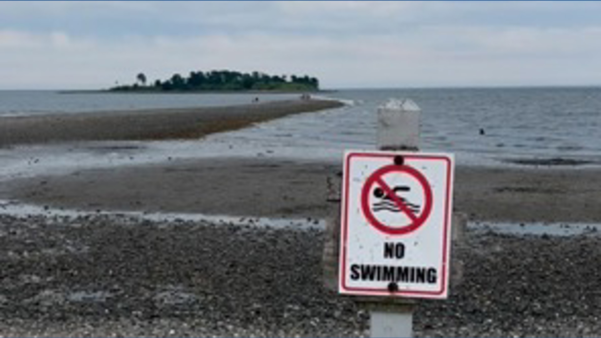 Five people rescued from the water in Mildford
