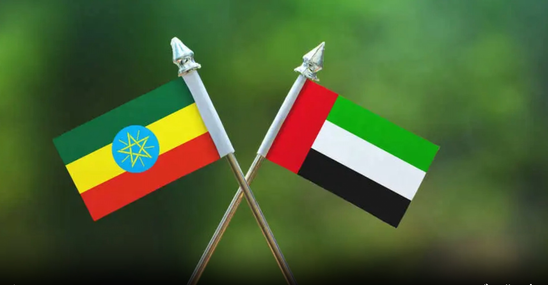 Ethiopia, UAE enjoying model partnership, says Ambassador Jemal