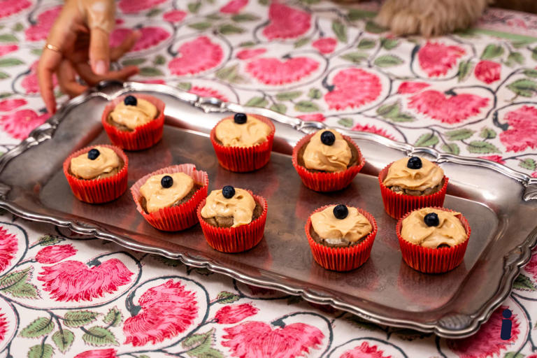 Tail-wagging treats for your pups