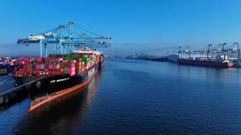Logistics company building new export facility at Port of Mobile