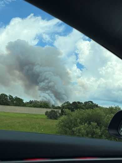 Firefighers contain 115-acre brushfire in Martin County
