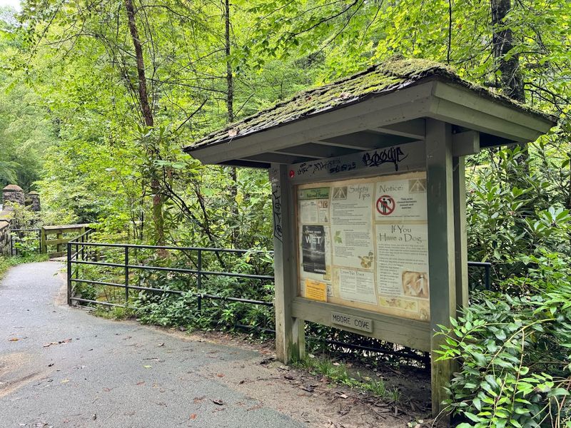 This whimsical North Carolina mountain trail transforms a regular ...