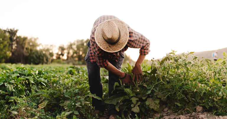 Rural men in Illinois urged to prioritize preventive healthcare
