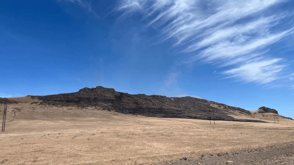 Teapot Fire burns 150 acres near Mountain Home