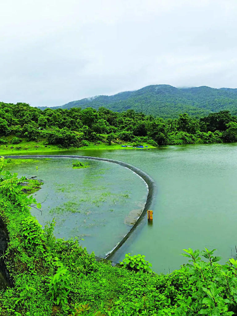Water levels in Goa dams continue to dip as rainfall deficit hits 45%