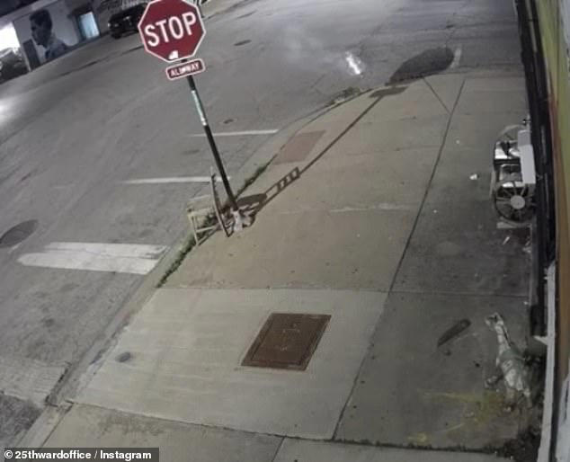 SUV detonates explosive outside socialist politician's home while his ...