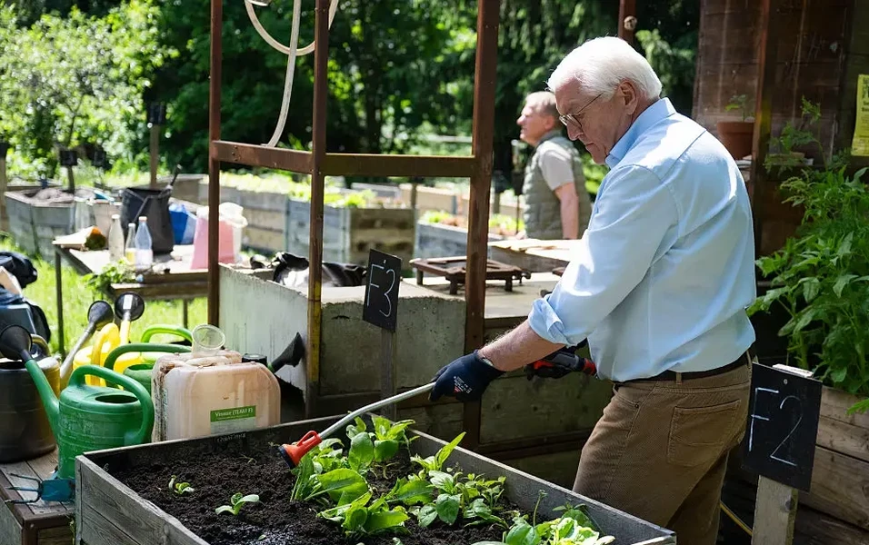 Experts say raised bed soil rarely needs full replacement