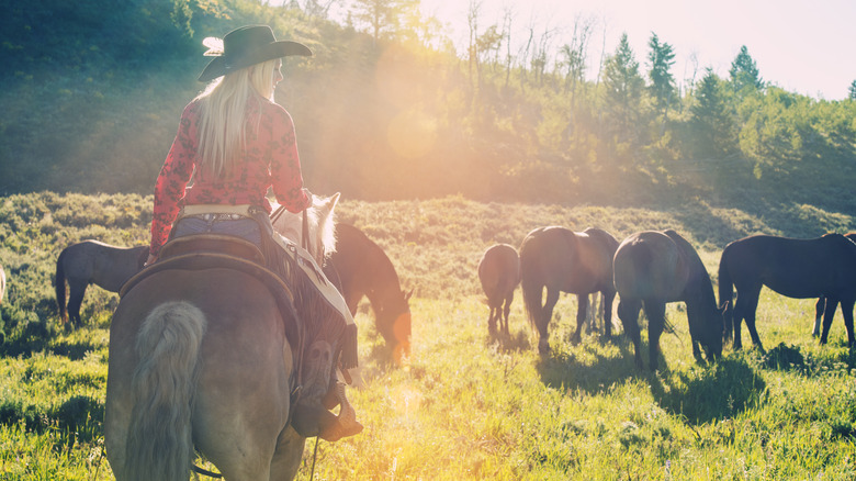 Live out the ultimate western lifestyle of your dreams at Montana's 5 ...