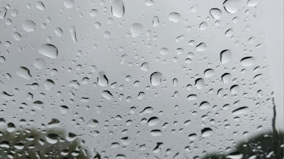 Downed trees and power lines block Florence County roads after rain ...