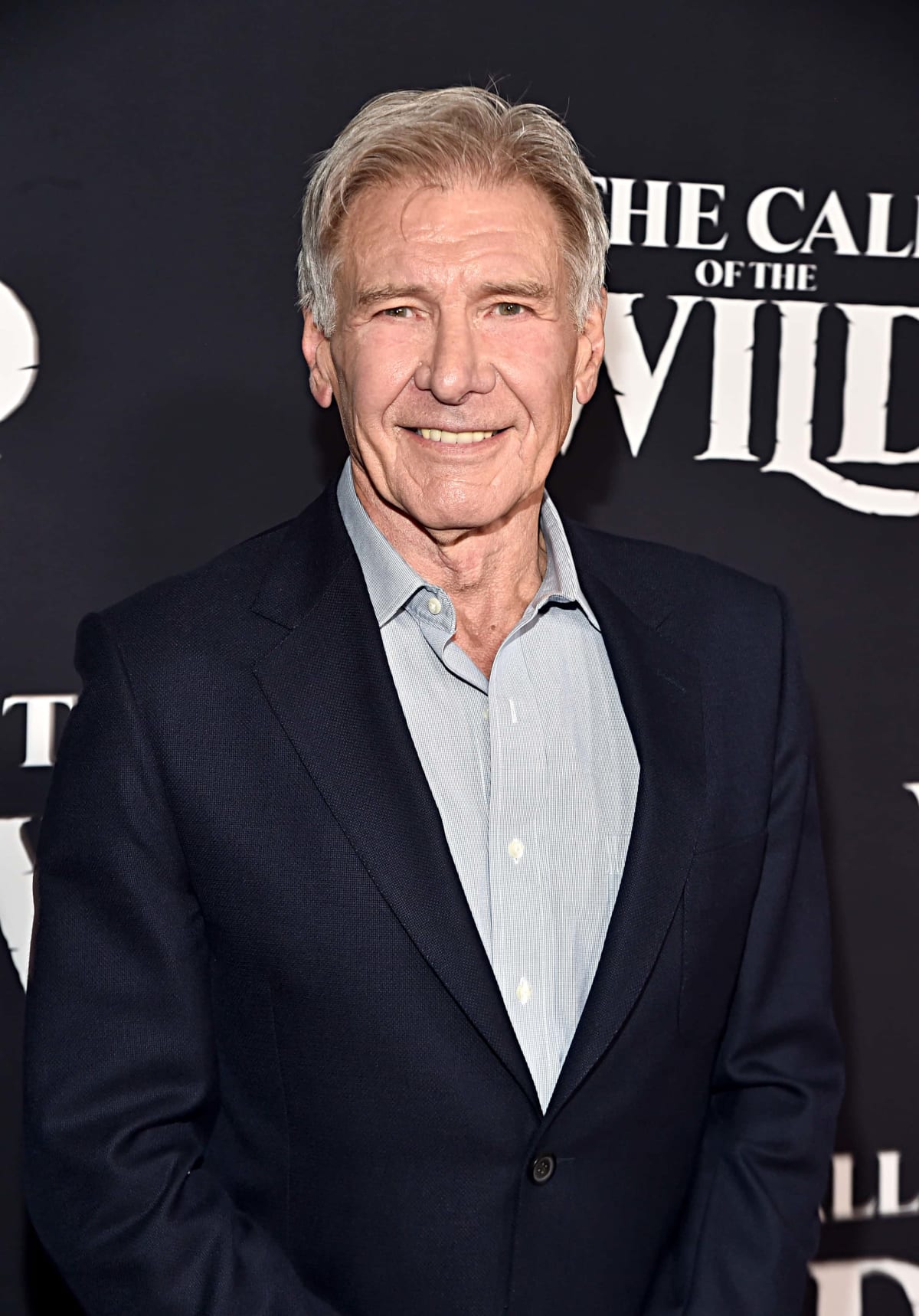 Steven Spielberg was 'crushed' when Harrison Ford rejected Dr Alan ...